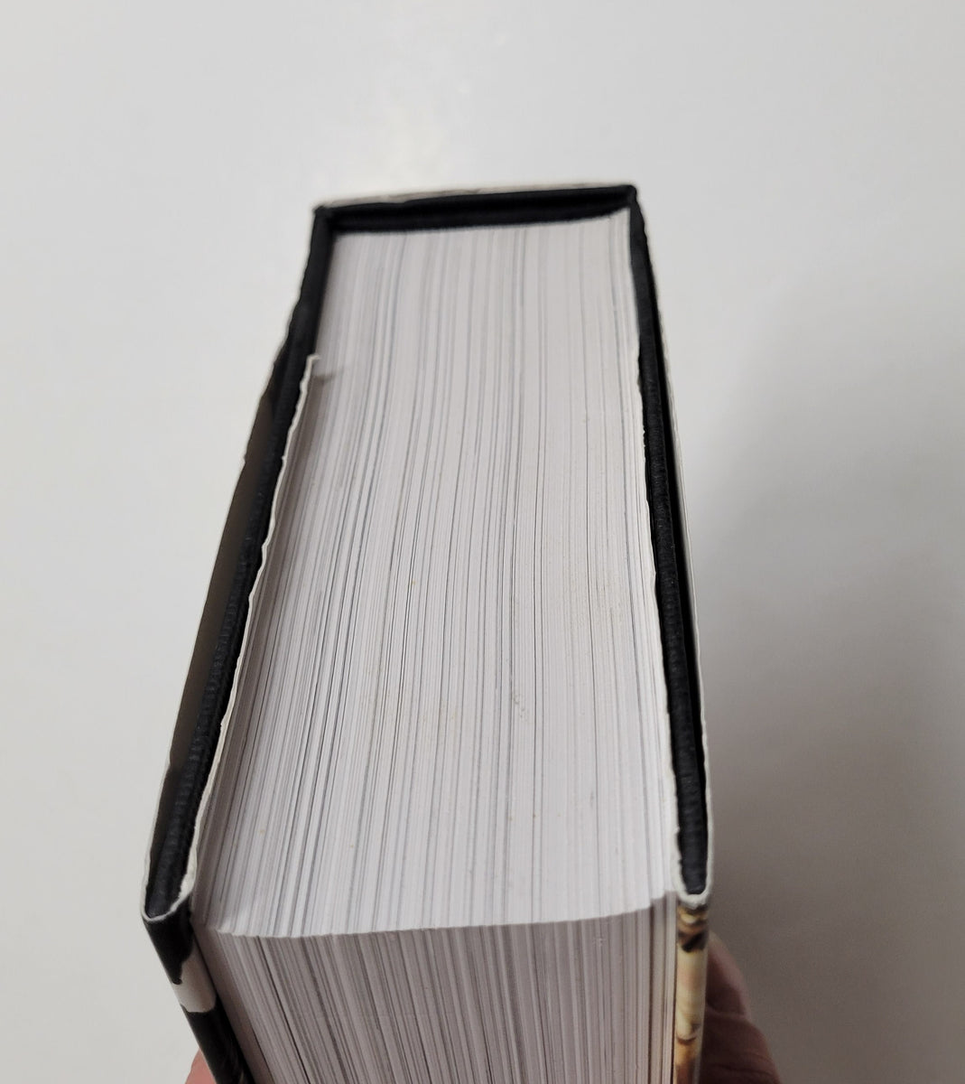 Halston by Steven Buttal & Patricia Mears | FASHION BOOKS | D&E LAKE ...