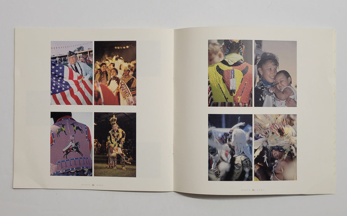 David Neel: Living Traditions by David Neel & Andrew Hunter | D&E LAKE ...