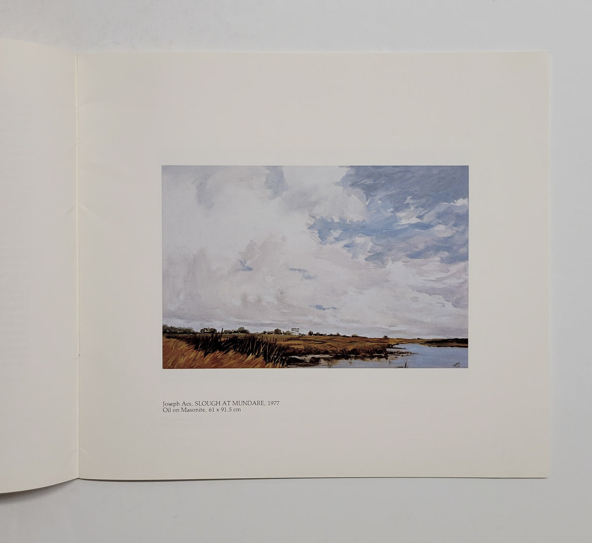 The Alberta Landscape by Russell Bingham | D&E LAKE LTD. BOOKS TORONTO ...