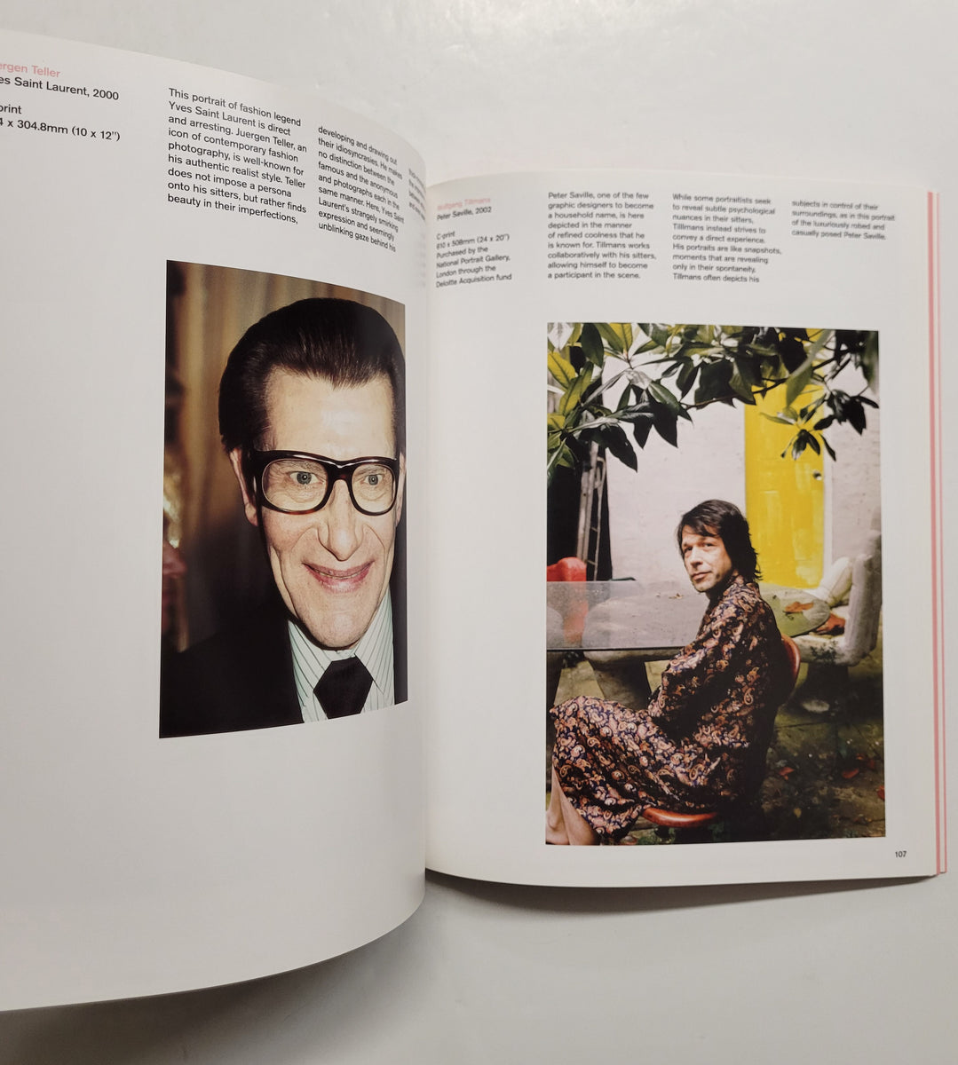 The Portrait Now by Sandy Nairne & Sarah Howgate | D & E LAKE LTD. – D ...