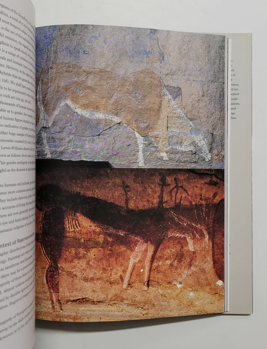 Prehistoric Art: The Symbolic Journey of Humankind by Randall White – D ...