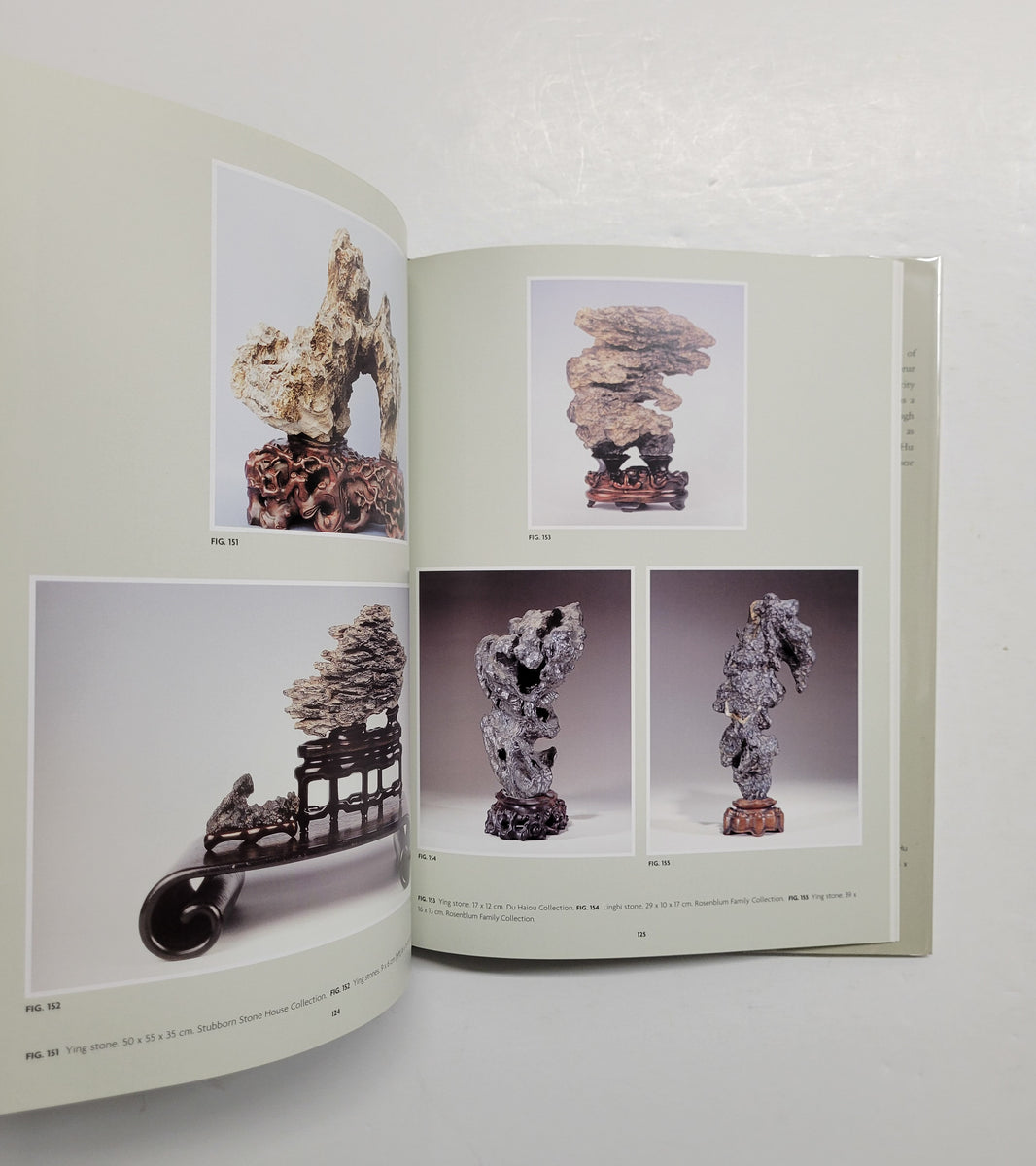 Scholars' Rocks In Ancient China by Kemin Hu | D & E LAKE LTD. BOOKS ...
