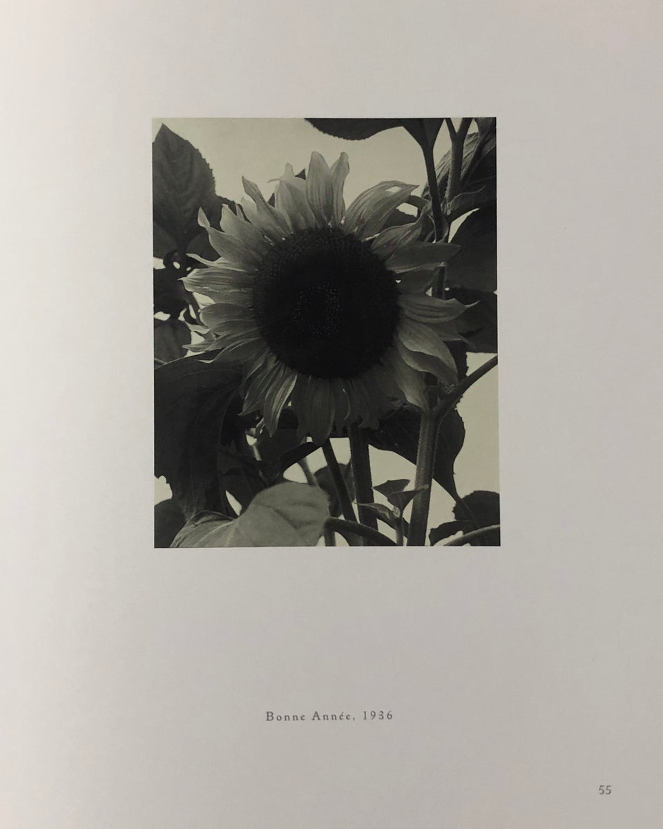 Man Ray: Trees + Flowers - Insects Animals | D & E LAKE LTD. BOOKS – D ...