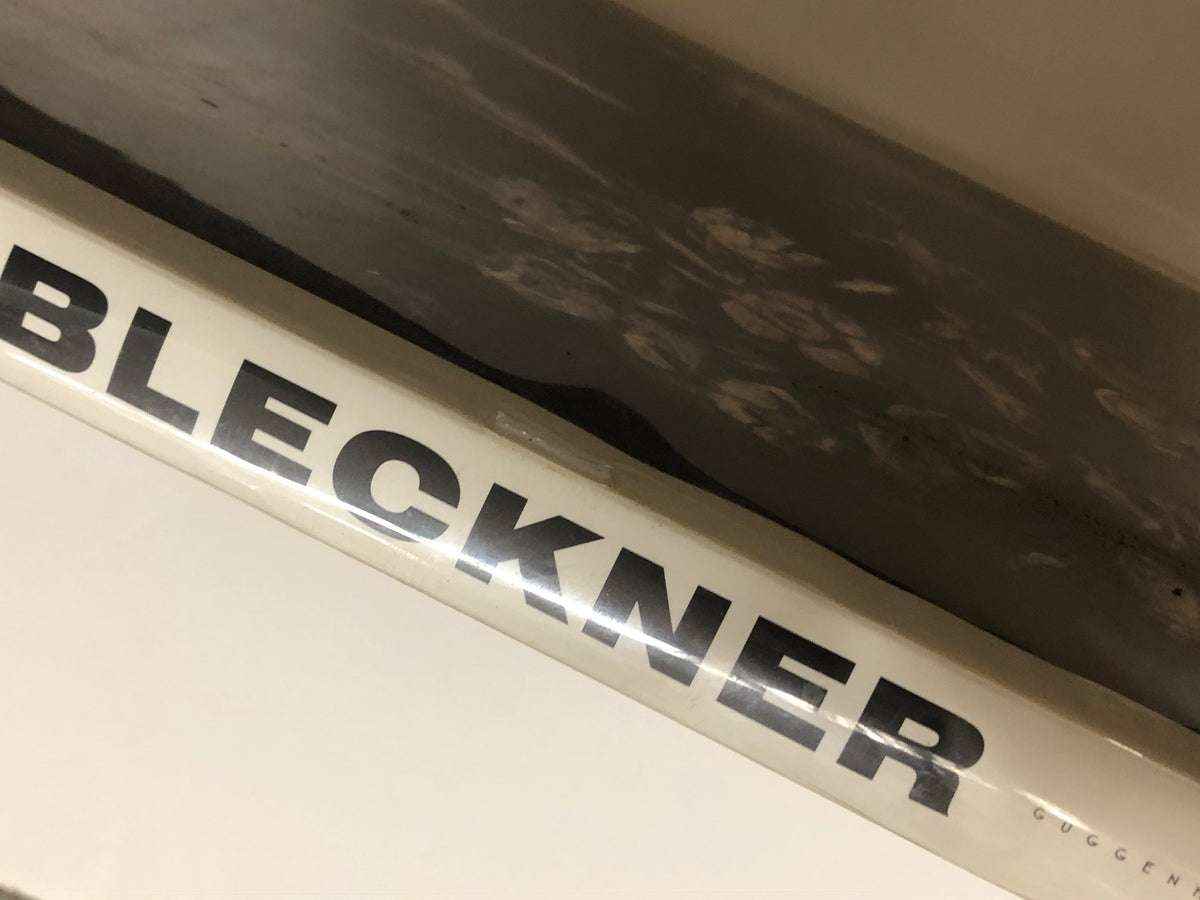 Ross Bleckner by Lisa Dennison, Thomas Crow & Simon Watney | D&E LAKE ...