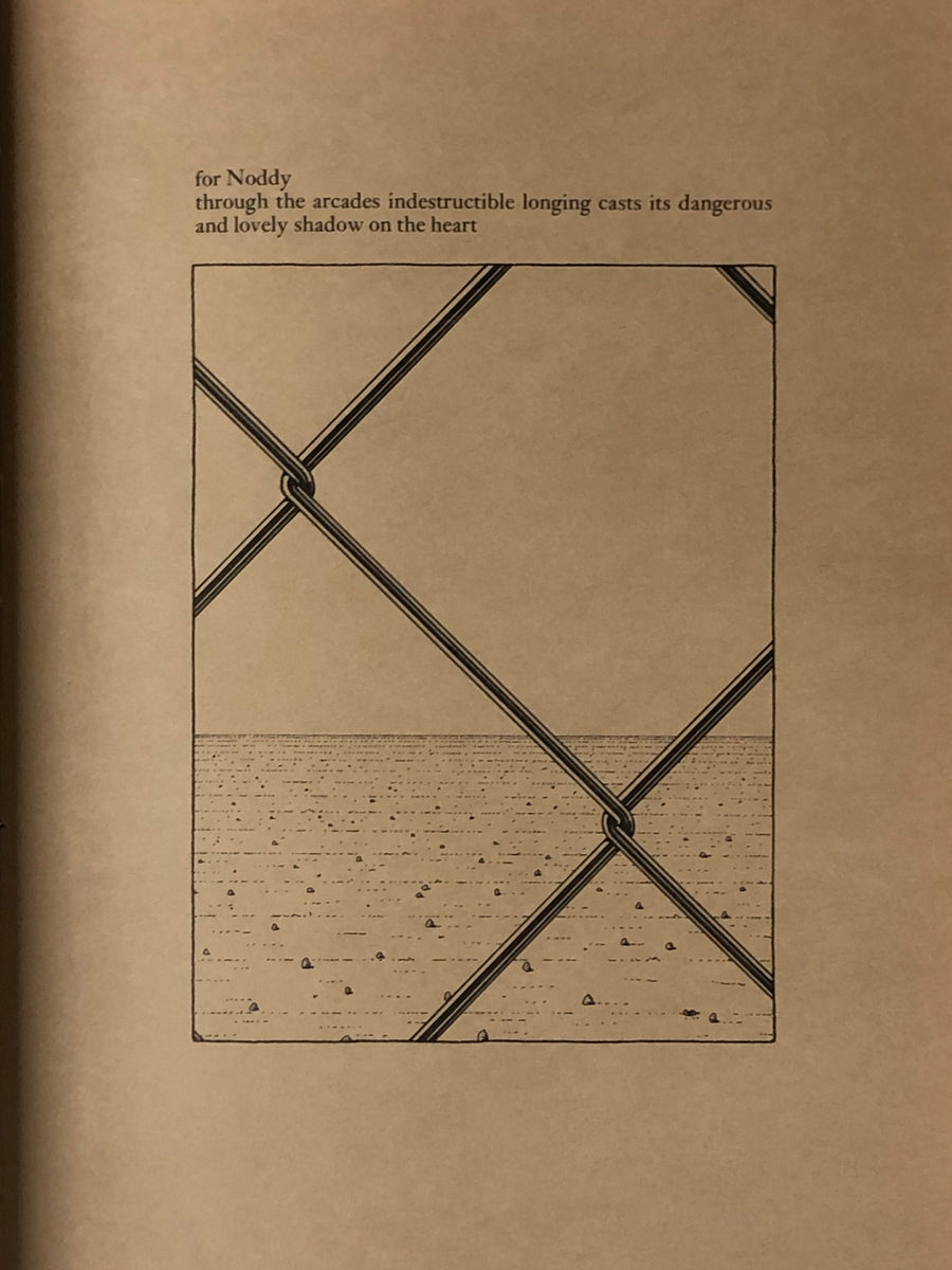 The Cage by Martin James-Vaughn | GRAPHIC NOVELS | D & E LAKE LTD. – D ...