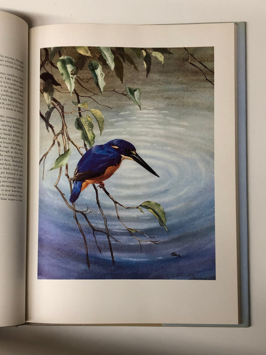 Birds of the African Waterside by Rena Fennessy & Leslie Brown – D & E ...