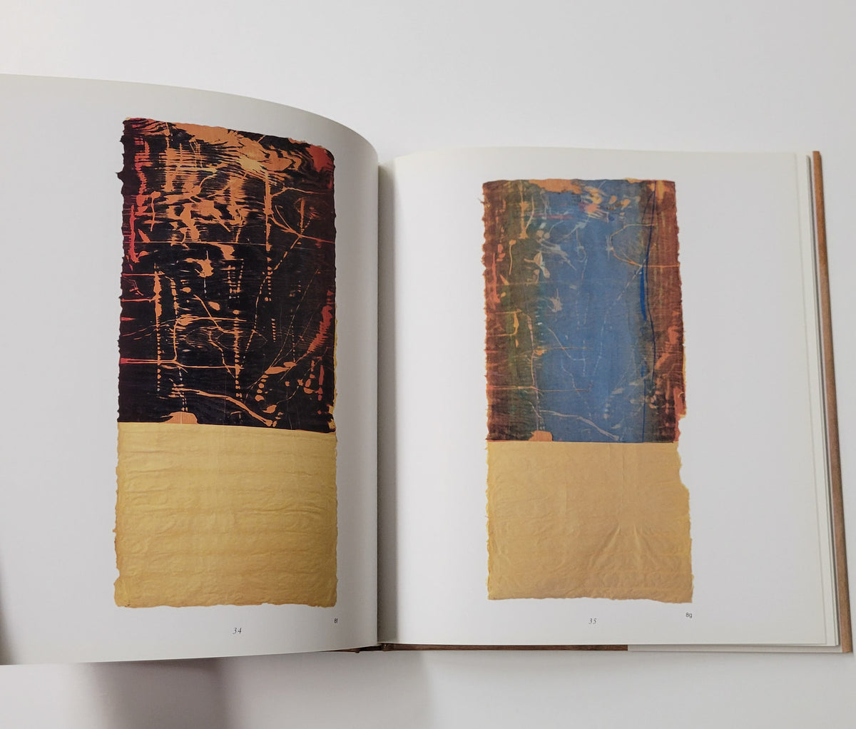 Frankenthaler: The Woodcuts by Judith Goldman | ART BOOKS | D & E LAKE ...