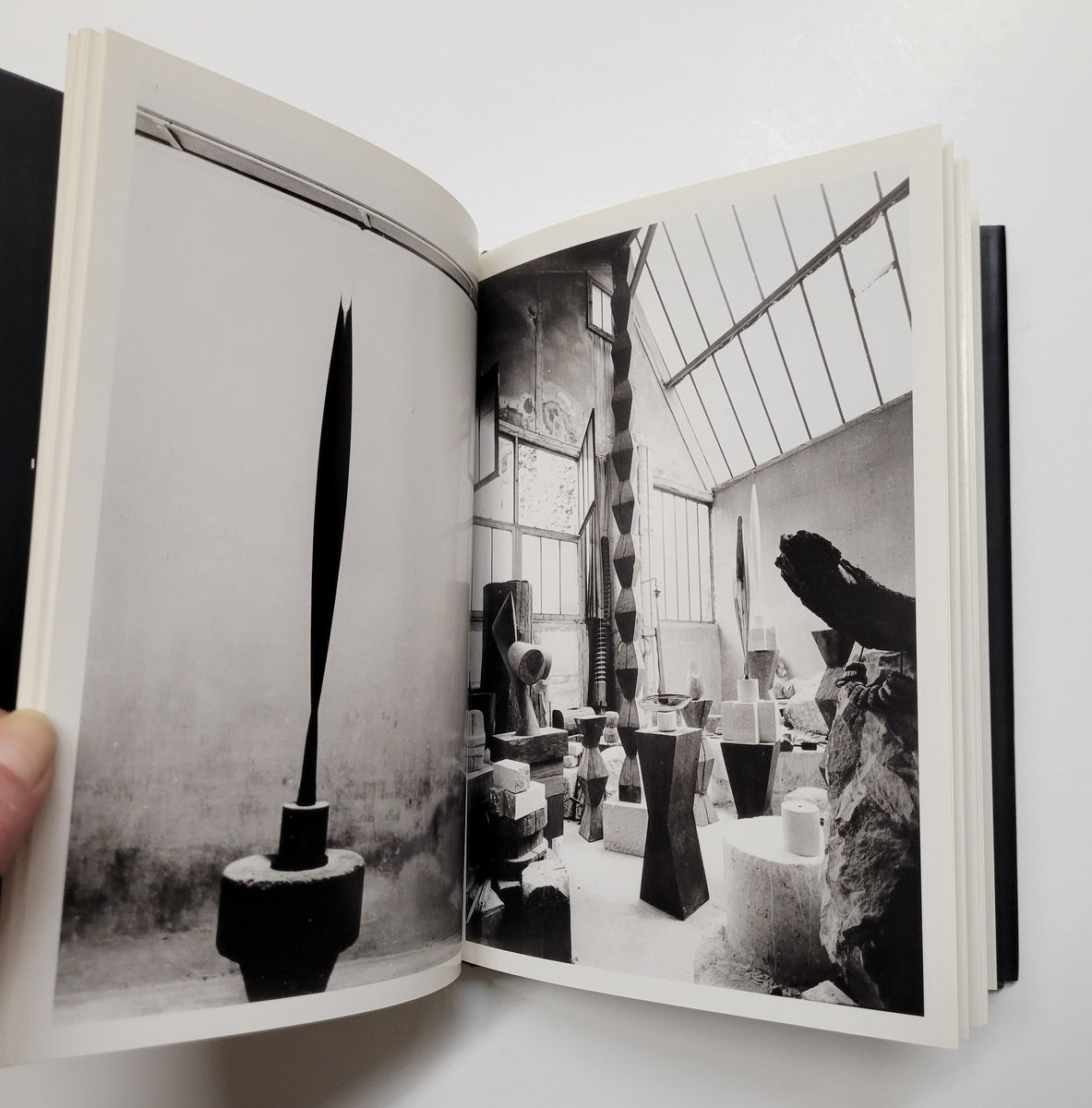 Constantin Brancusi Photographer by Elizabeth A. Brown | D&E LAKE LTD ...