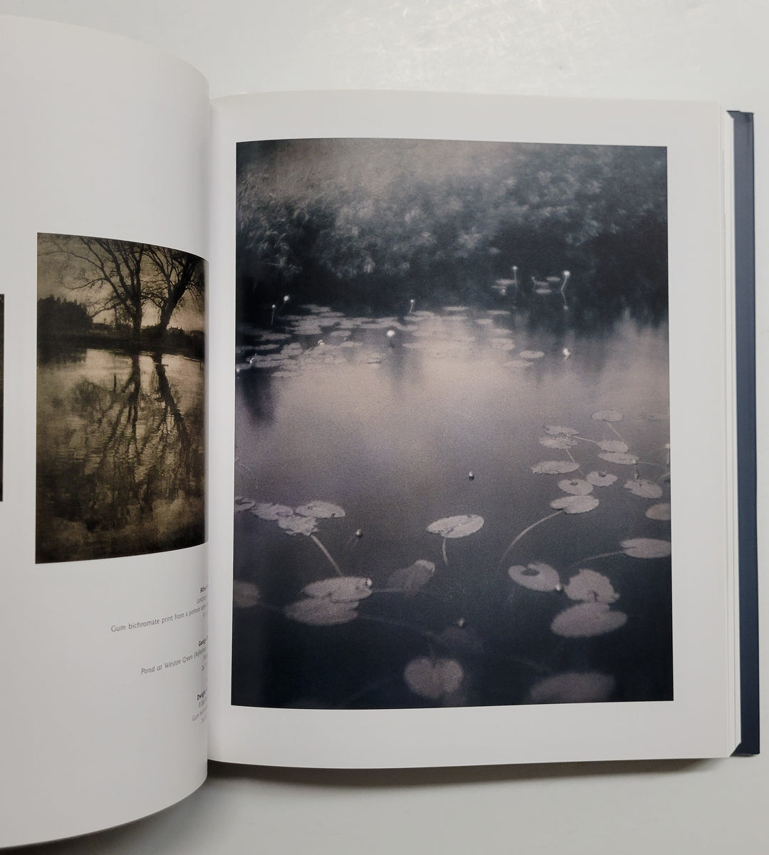 Impressionist Camera: Pictorial Photography in Europe, 1888-1918 by Pa ...